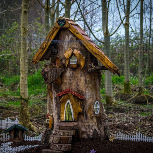 Activities – Rose Park Farm